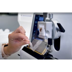 All vendors :: LABMATE PHARMA INC - skrooll