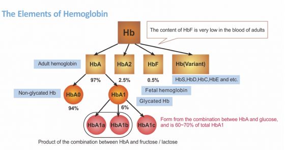 H8, LIFOTRONIC, HbA1c ANALYZER | SKROOLL